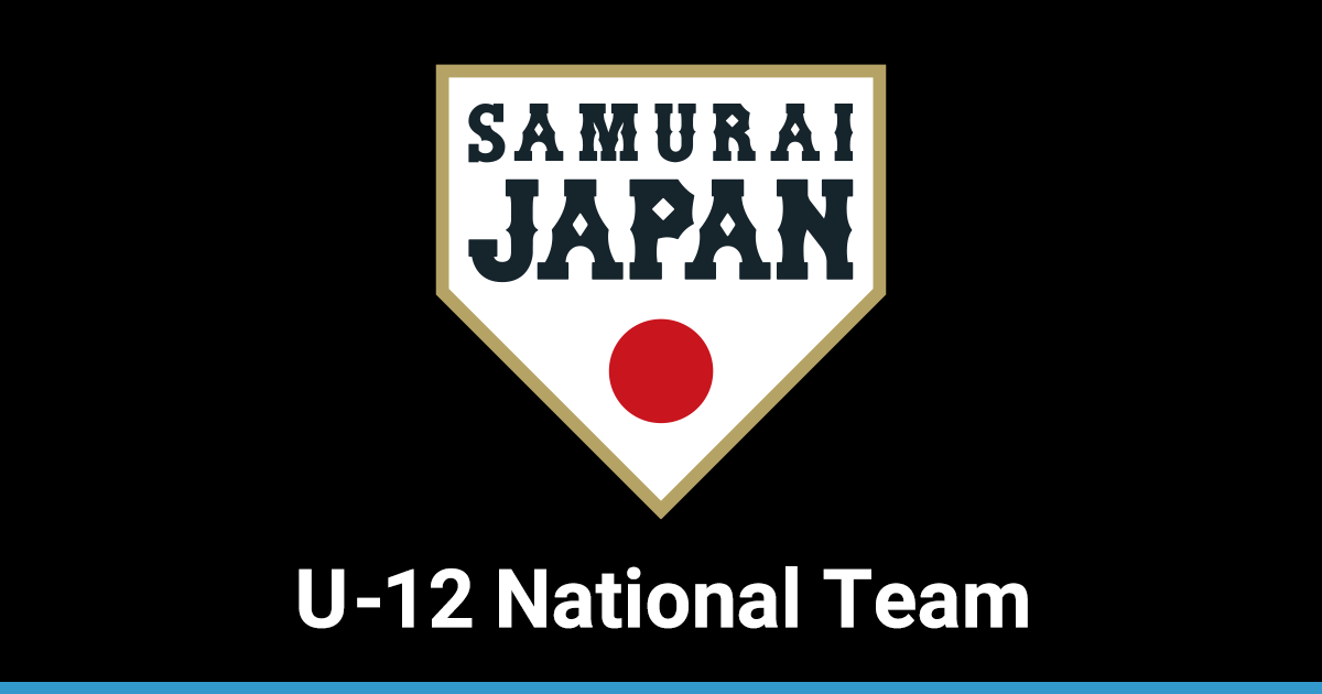 Japanese Baseball Logo